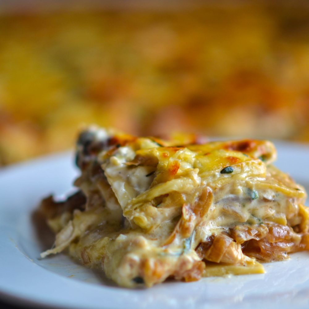 Pulled chicken lasagne - I Love CB Foods